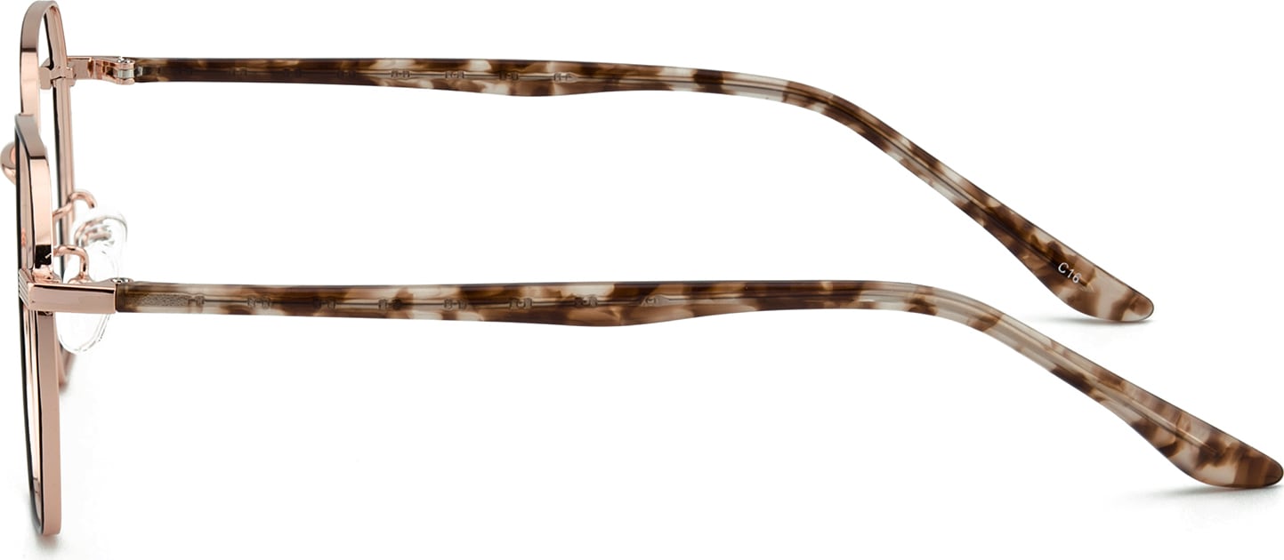Winston Polygon - Black/Golden/Crystal Tortoise Eyeglasses