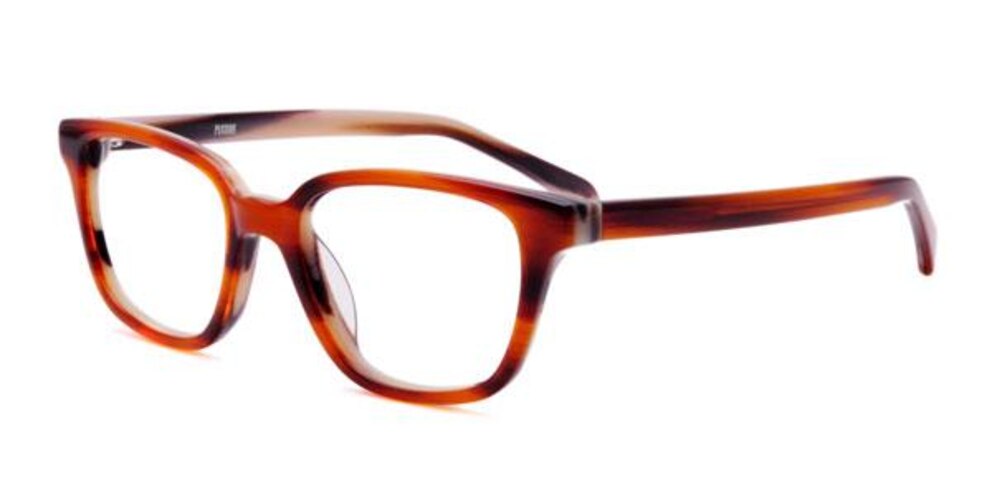 Warren Classic Wayframe - Tortoise/Black Eyeglasses