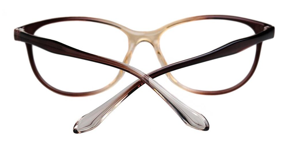 NorthPlatte Classic Wayframe - Brown Eyeglasses
